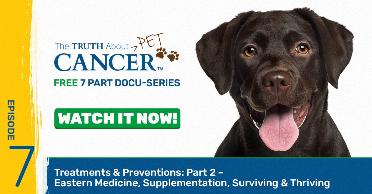 The Truth About PET Cancer: Episode 7